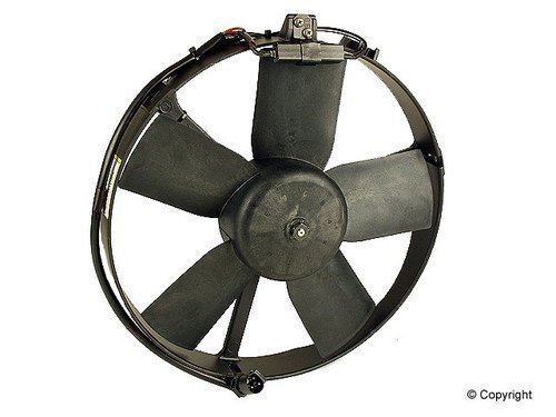 Amazon.com: Auxiliary Fan Switch : Automotive