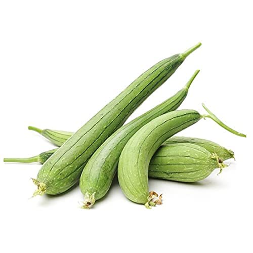 TRI - Sponge gourd Tori Seeds Hybrid 125 Torai Seeds SD111 : Amazon.in ...