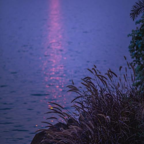 Play I'm Sure We're Taller in Another Dimension (White Ferrari) [Slowed ...