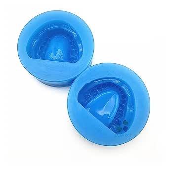 iDENTical Complete Dentulous Cast Moulds - Blue M8019 | Dental Model ...