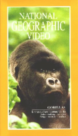National Geographic Video - Gorillas [Alemania] [VHS]: Amazon.es ...