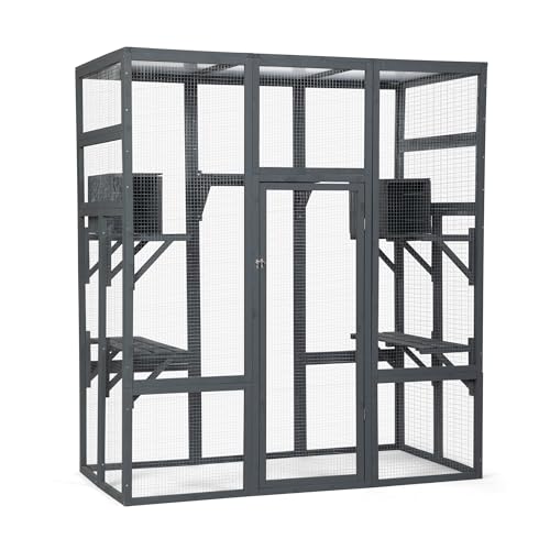 Window Cat Box – The 15 best products compared - Wild Explained