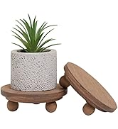 Amazon.com: Defined Deco Mini Wood Risers for Display, Small 5' Round ...
