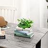 Amazon.com: Garsheon Book Planter, Ceramic Planters with Drainage Hole ...
