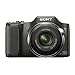 Amazon.com : Sony Cyber-shot DSC-H20/B 10.1 MP Digital Camera with 10x ...