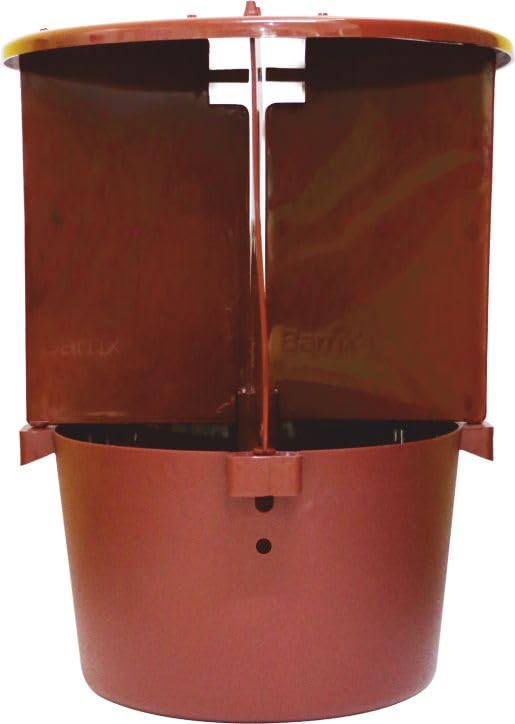 Barrix Hunter, Pack of 4, Red Palm Weevil Trap & Lure : Amazon.in ...