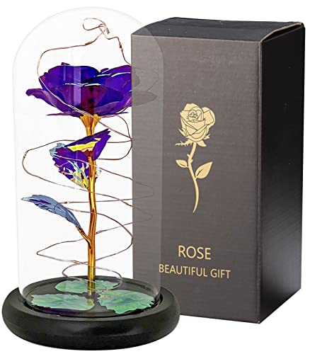 Beauty and The Beast Rose | All About Twins