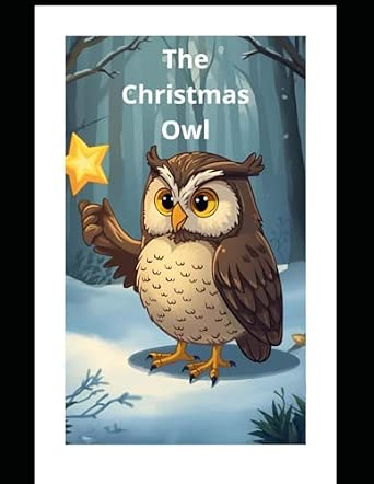 The Christmas Owl : Babenko, Daria: Amazon.co.za: Books