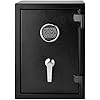 Amazon Basics Fire Resistant Security Safe with Programmable Electronic ...