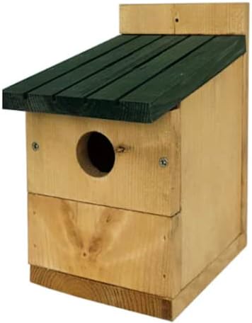 Wildlife World New England Nest Box - Green : Amazon.co.uk: Garden