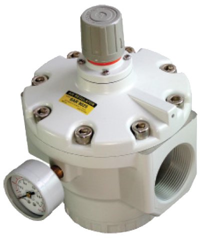 PneumaticPlus Air Pressure Pilot Operated Regulator for Air Compressor ...