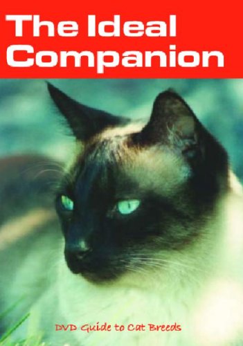 Amazon.com: The Ideal Companion DVD Guide To Cat Breeds [NTSC] : Ideal ...