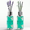 Amazon.com: Binca Vidou Reed Diffuser Set of 2, Lavender Vanilla Oil ...