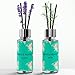 Amazon.com: Binca Vidou Reed Diffuser Set of 2, Lavender Vanilla Oil ...