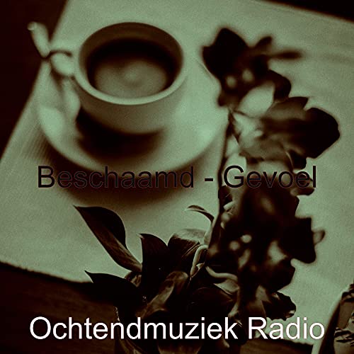 Beschaamd - Gevoel de Ochtendmuziek Radio en Amazon Music Unlimited