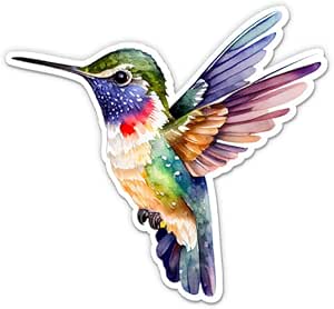 Amazon.com - Beautiful Hummingbird Sticker - 3" Laptop Sticker ...