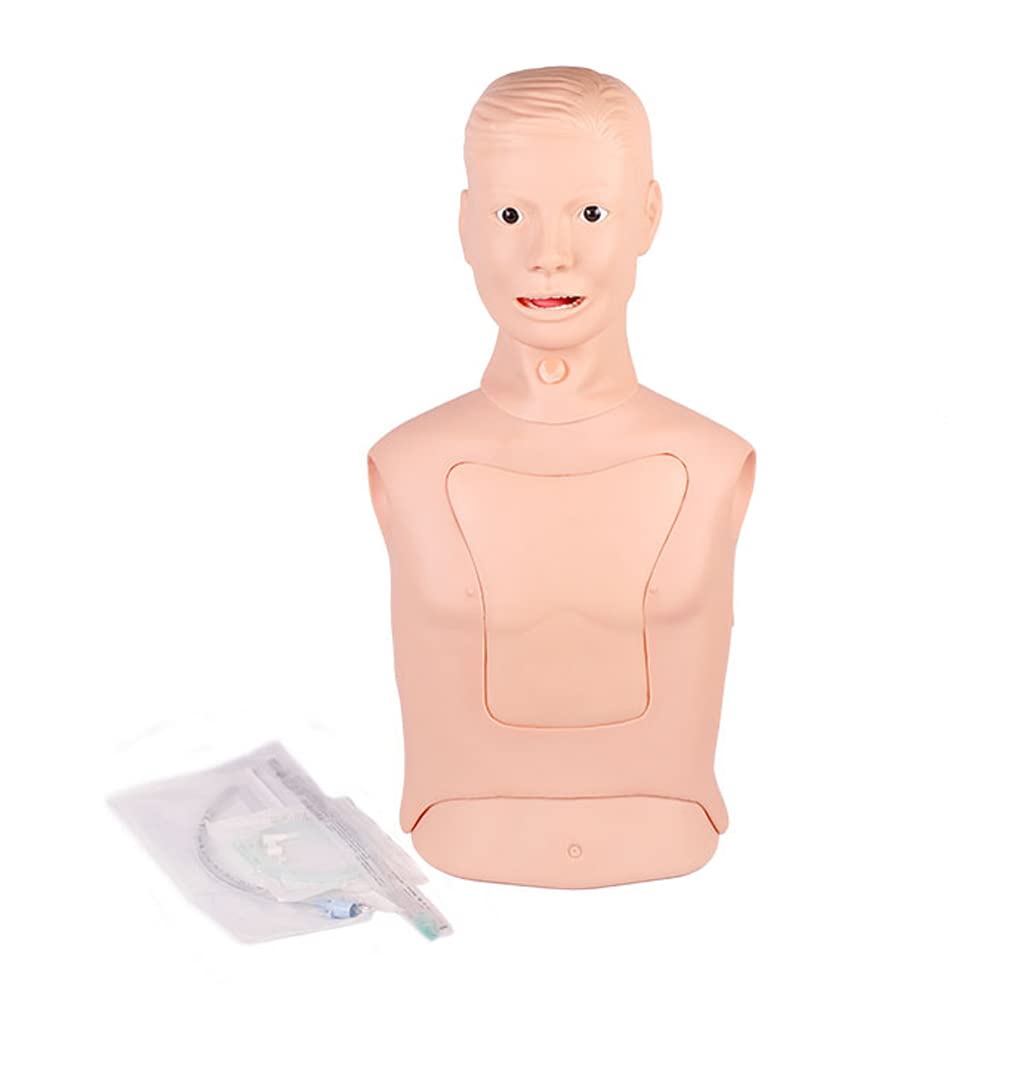 Buy UIGJIOG Intubation tric Tube Model Half-Body Mannequin Teaching ...