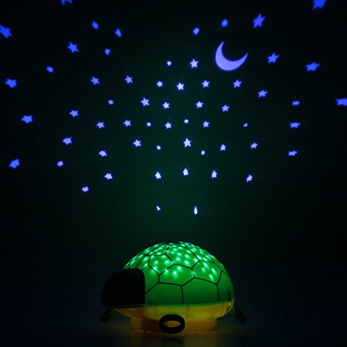 Schildkrote Als Nachtlicht