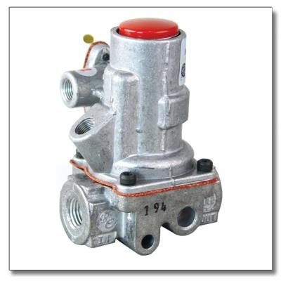 BASO GAS PRODUCTS LLC Baso Safety Valve 1/4" NPT inlet and outlet ...