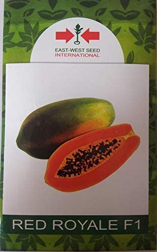 Red royal papaya seeds F1 hybrid pack of 5 gram : Amazon.in: Garden ...
