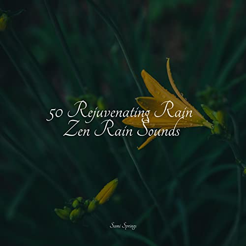 Amazon Music Unlimited - It's Raining, FX & Effects & Regen 『50 Sleep ...