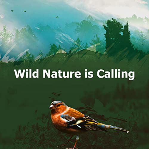 Amazon.com: Wild Nature is Calling : Nature Is Calling: Digital Music