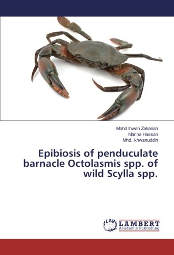 Epibiosis of penduculate barnacle Octolasmis spp. of wild Scylla spp ...