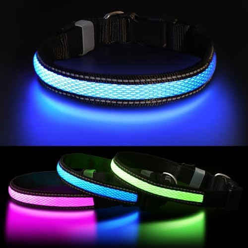 Amazon.com: Light Up Dog Collar, Glow Dog Collar Rechargeable,Super ...