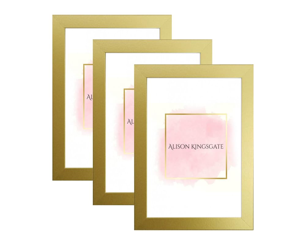 Alison Kingsgate Pack of 3 Gold 90x60cm Frame With Safe Perspex Front ...