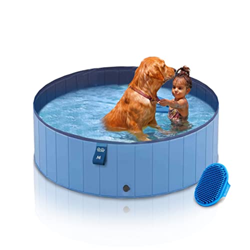 Make a Splash with These Top 10 Dog Bone Pools: A Complete Buying Guide ...