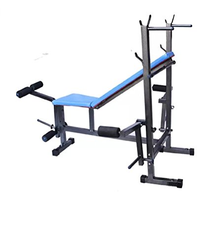 APS 8 IN1 Exclusive Home Gym-Multipurpose Bench : Amazon.in: Sports ...