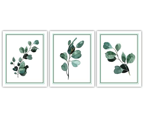 Amazon.com: Green Eucalyptus Leaves Botanical Farmhouse Wall Art Poster ...