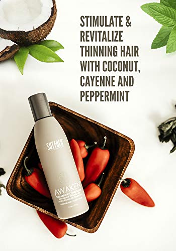 Surface Hair Product Guide: 15 Best Things to Buy from Surface Hair ...