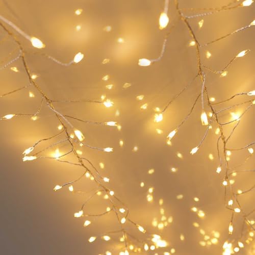 Amazon.com: QBIS 400 LED Cluster Lights on Silver Wire. Warm White ...