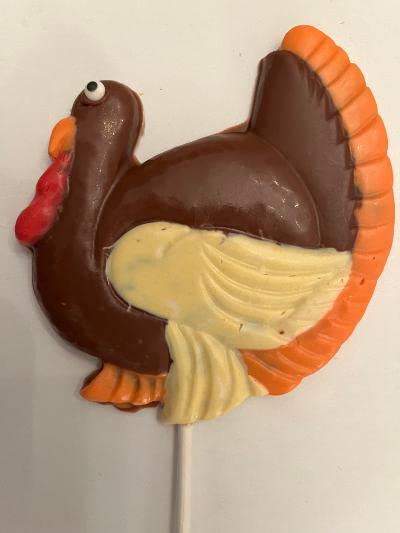 Amazon.com : Large Turkey MILK Chocolate Turkey Lollipop : Grocery ...