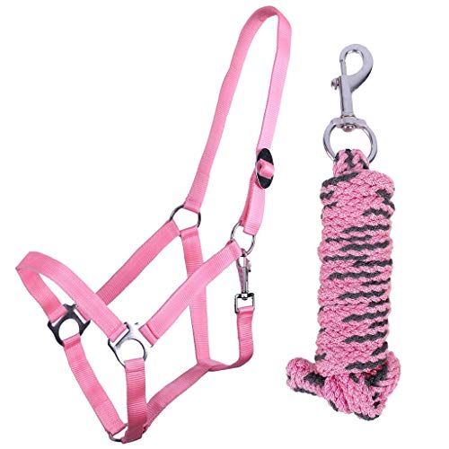 Halfter für Holzpferde – Die 15 besten Produkte im Vergleich - kita.de ...