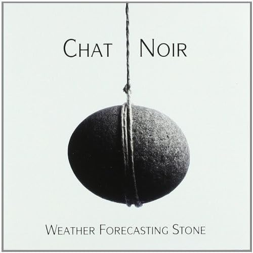 Amazon.co.jp: Weather Forecasting Stone: ミュージック