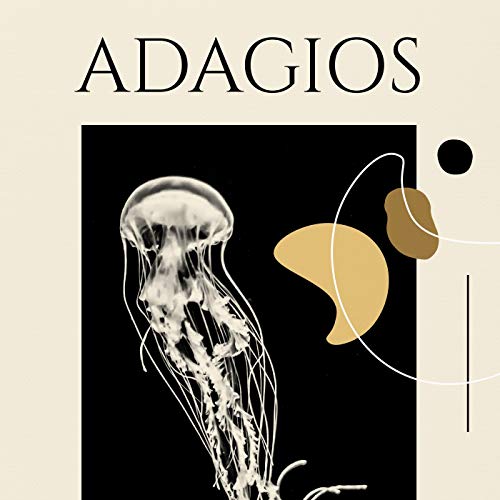 Amazon.com: Adagios : VARIOUS ARTISTS: Digital Music