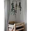 Amazon.com: Gardener's Supply Company Orchard Garden Harvest Rack ...