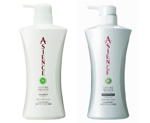 Amazon.com : Asience Nature Smooth Shampoo & Conditioner Set (530ml ...