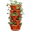 Mr. Stacky 5-Tier Strawberry Planter Pot, 5 Pots : Amazon.ca: Patio ...