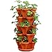 Mr. Stacky 5-Tier Strawberry Planter Pot, 5 Pots : Amazon.ca: Patio ...