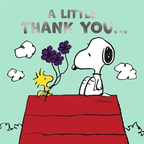 Cards Hallmark Peanuts Snoopy Thank You A Little Thank You... : Amazon ...