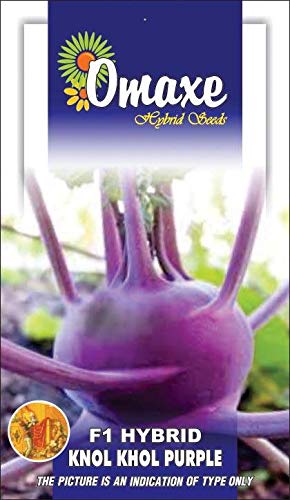 Knol Khol Hybrid Purple Vegetable seeds Pack of 2 Kitchen Garden Packet ...