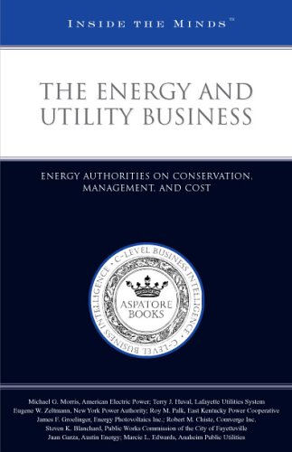 The Energy and Utility Business: Energy Authorities on Conservation ...