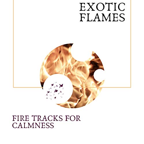 Amazon.com: Exotic Flames - Fire Tracks for Calmness : VARIOUS ARTISTS ...