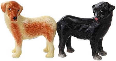 Amazon.com: Pacific Giftware Attractives Dogs Ceramic Magnetic Salt and ...