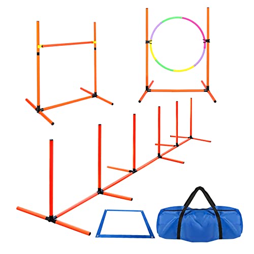 Zestaw dla psa Agility — porównanie 15 najlepszych produktów — Wild ...