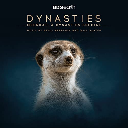 Amazon.com: Meerkat: A Dynasties Special (Original Television ...