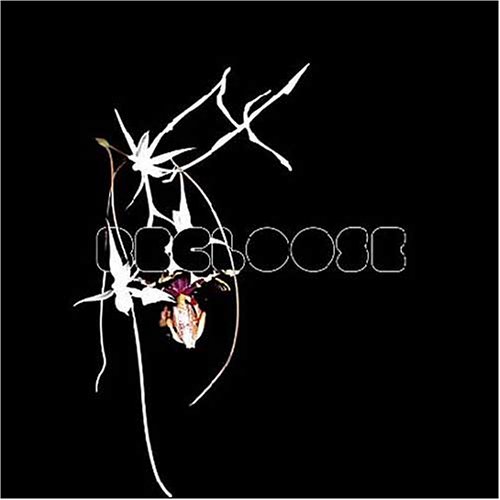 Amazon.com: Hiatus on the Horizon [Vinyl]: CDs & Vinyl